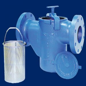 Hayward Strainers | Simplex | Duplex | PVC | Prosep Filter Systems